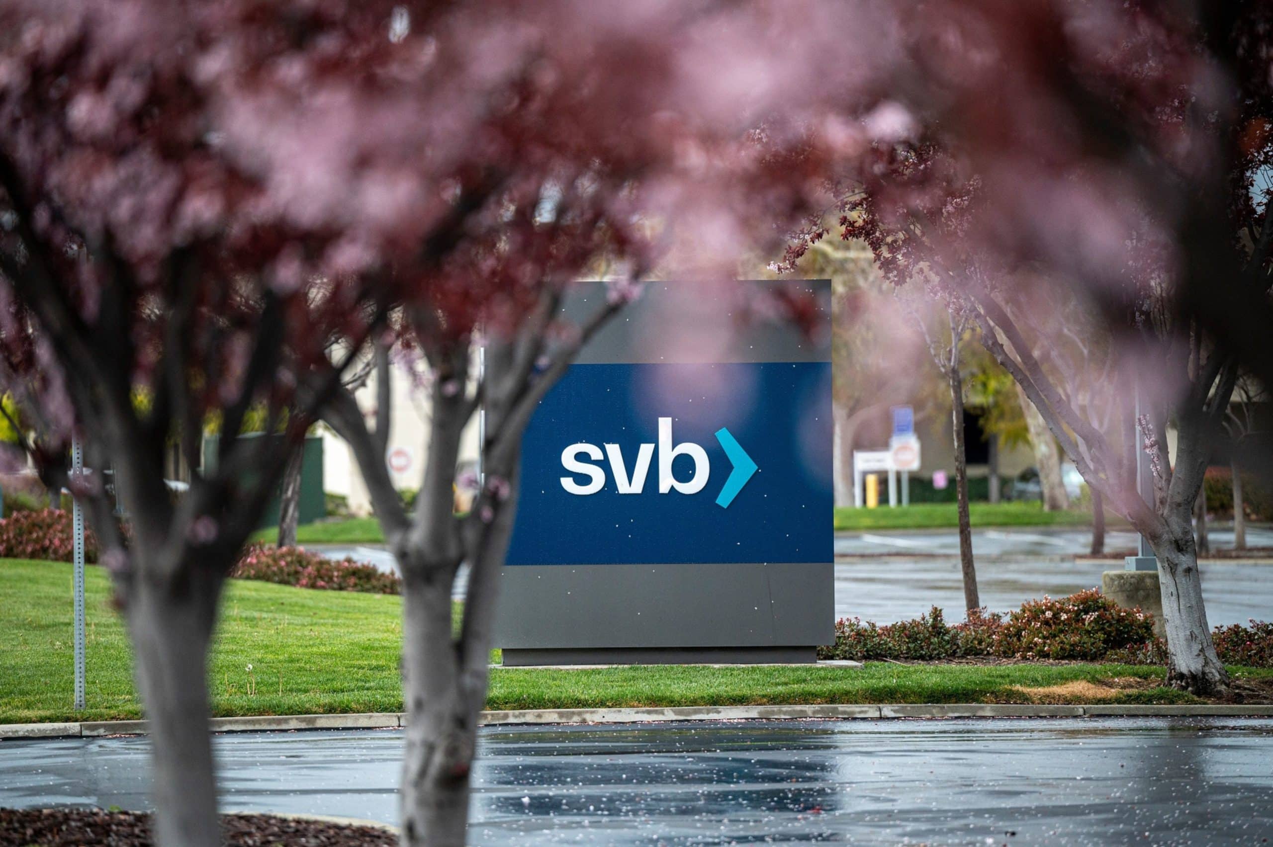 Cybersquatting a bank security concern post-SVB - FinAi News